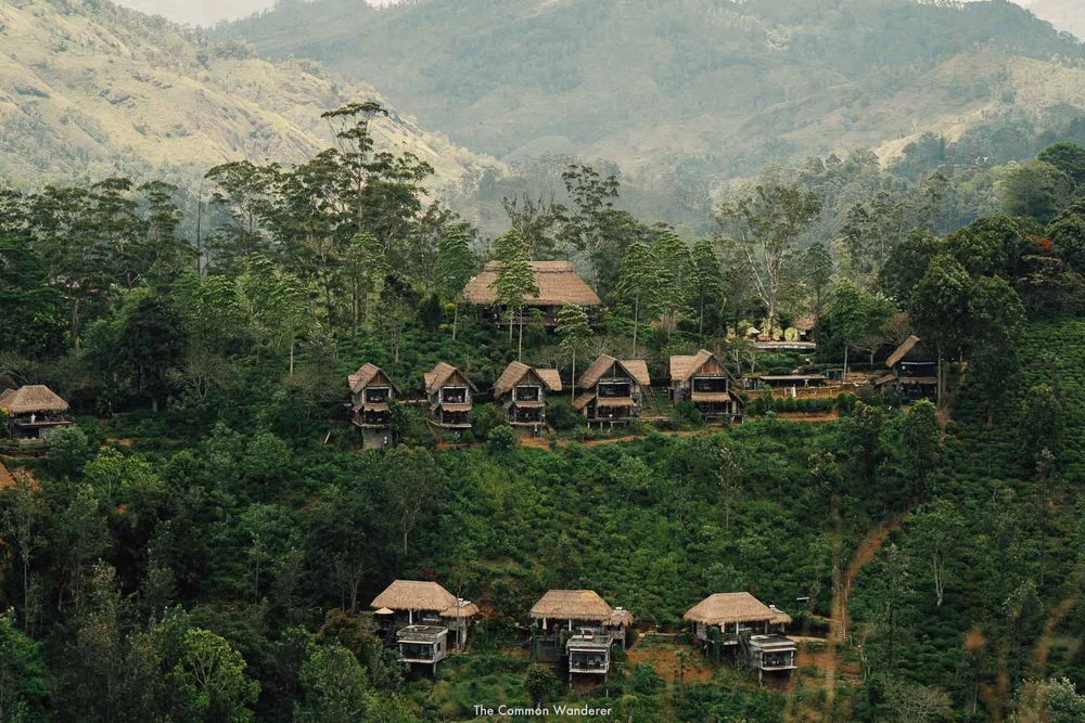 Where to Stay in Ella: The Best Hotels, Hostels & Guesthouses | The ...