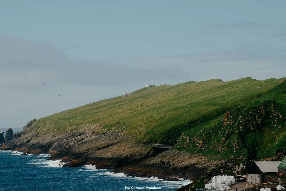 How To Visit Mykines, Faroe Islands: A Day Trip Guide | The Common Wanderer