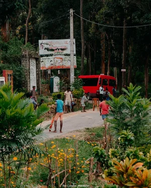Diyaluma Falls Guide: Exploring Sri Lanka's 2nd Tallest Waterfall | The ...