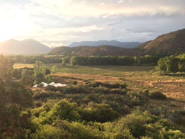 cbd — wild acre farm