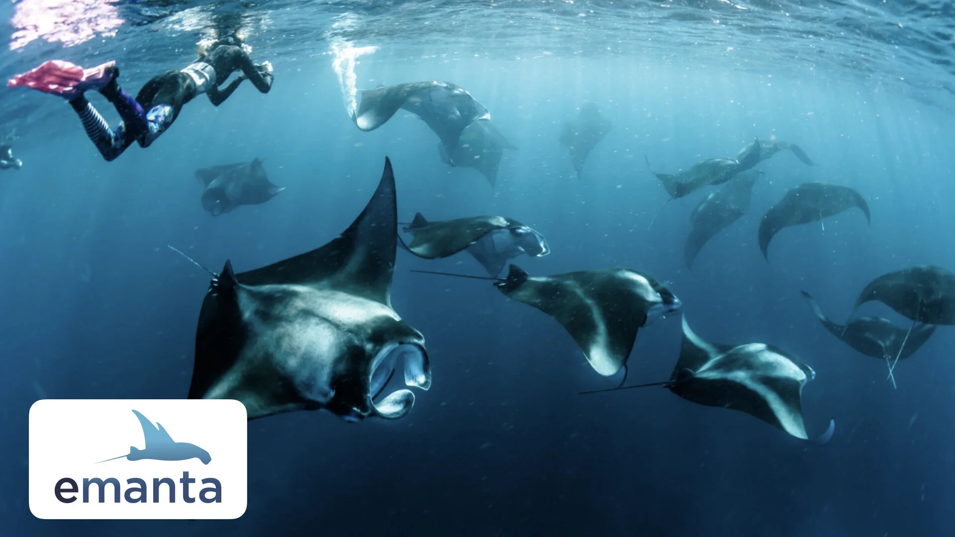 eOceans — Collaborative Research