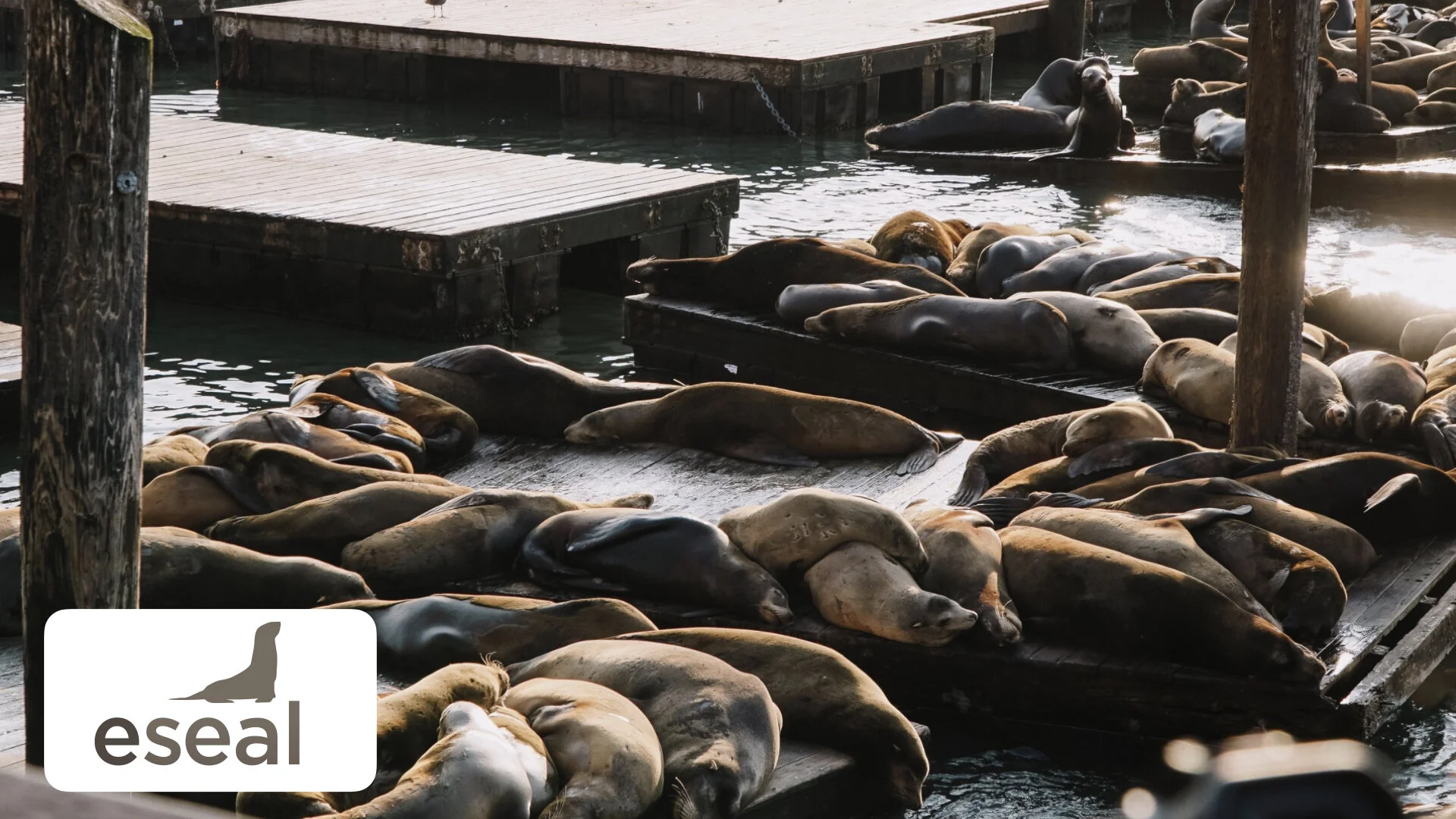 eOceans — Collaborative Research