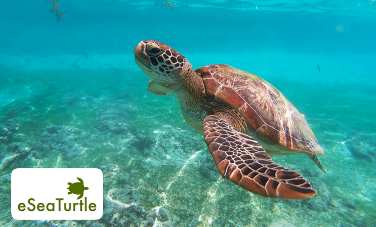 eOceans — Collaborative Research