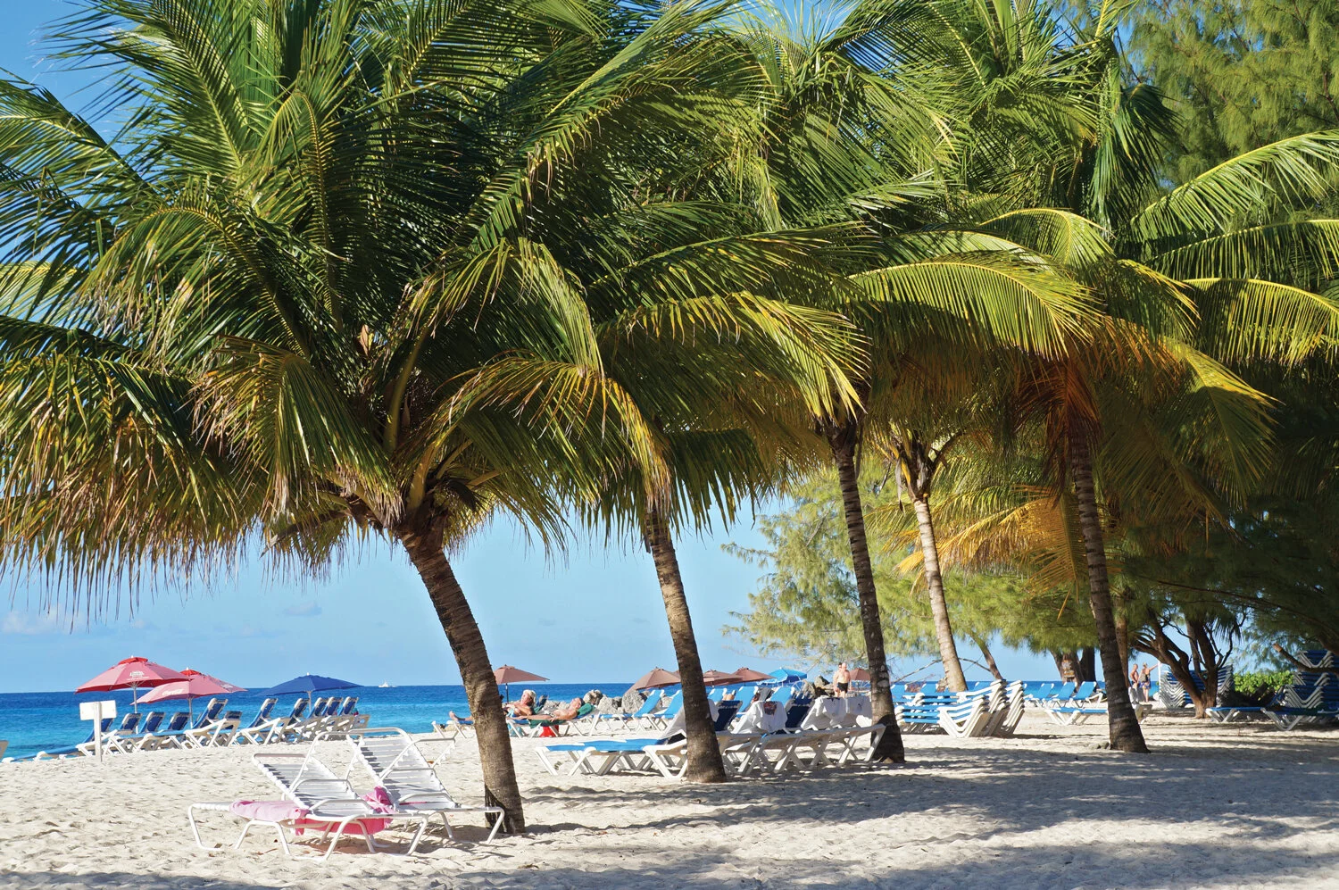 “The Sweet Lime” — Barbados Restaurants