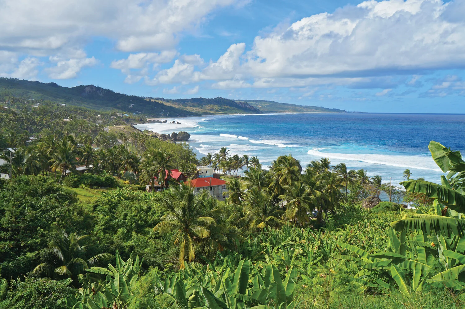“The Sweet Lime” — Barbados Restaurants