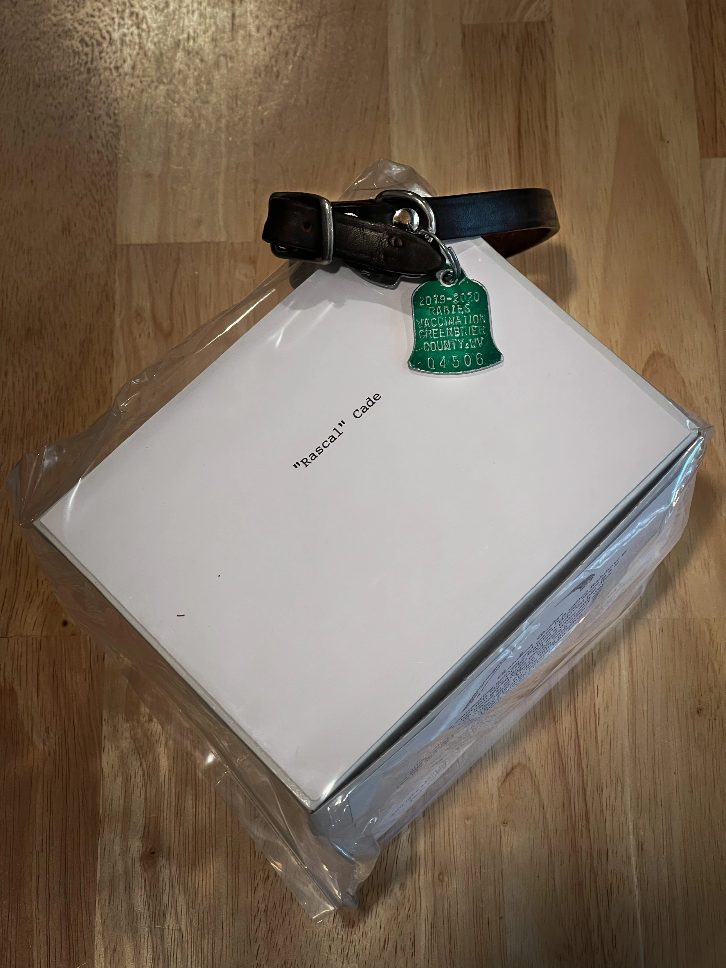 Rascal — Brian Cade Photography: Collective Works