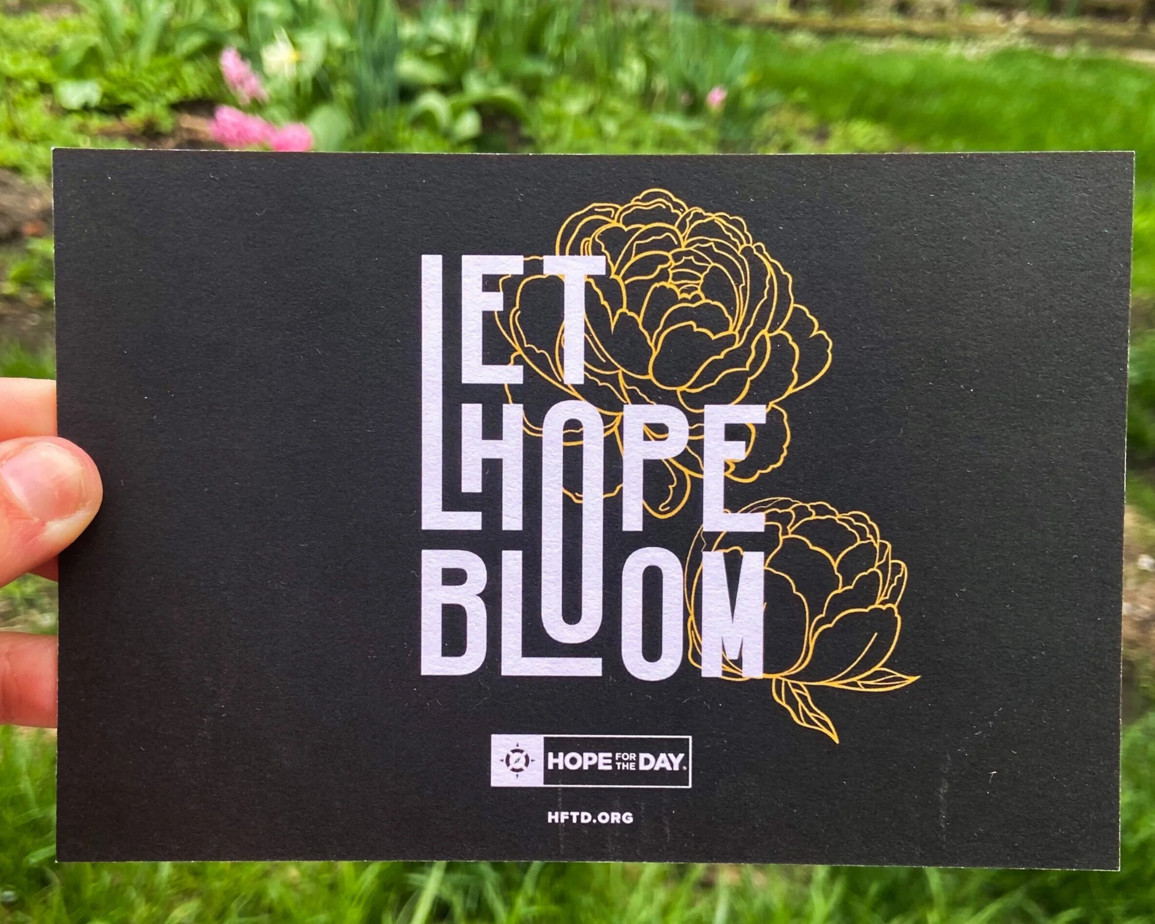 US Store — Hope For The Day