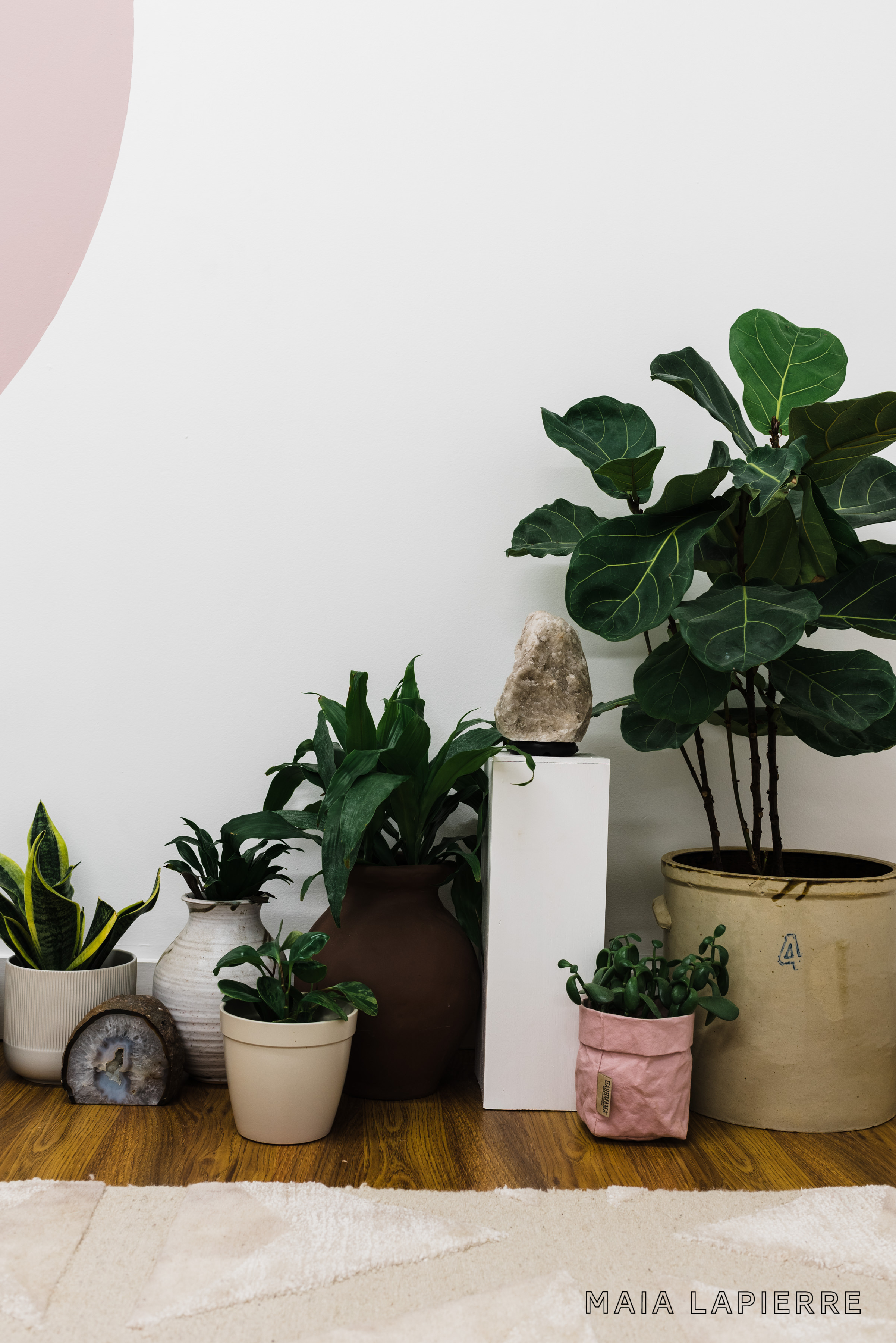 Flo Meditation + Wellness — Maia LaPierre