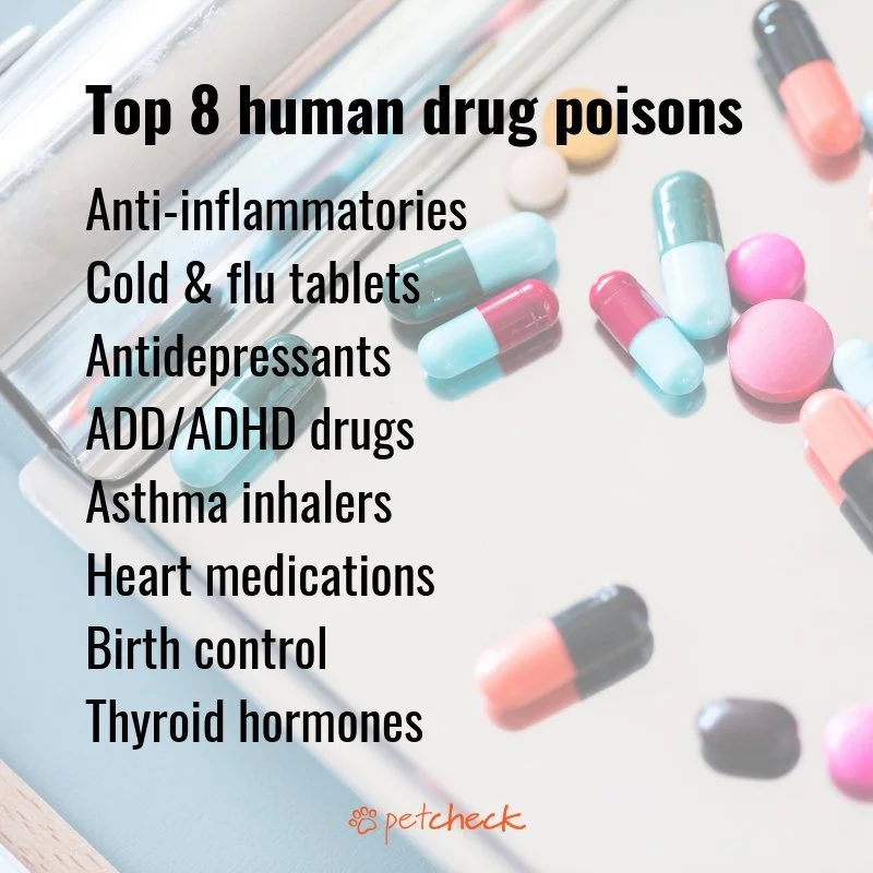 Top 8 Human Drug Poisons — Thornbury Veterinary Hospital