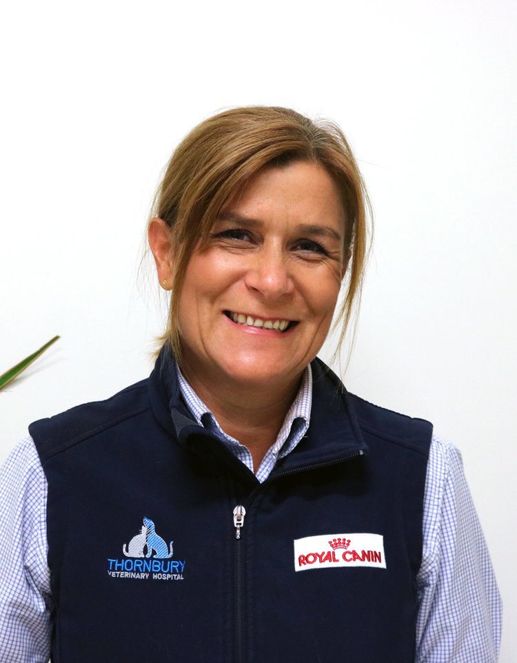 Vets — Thornbury Veterinary Hospital