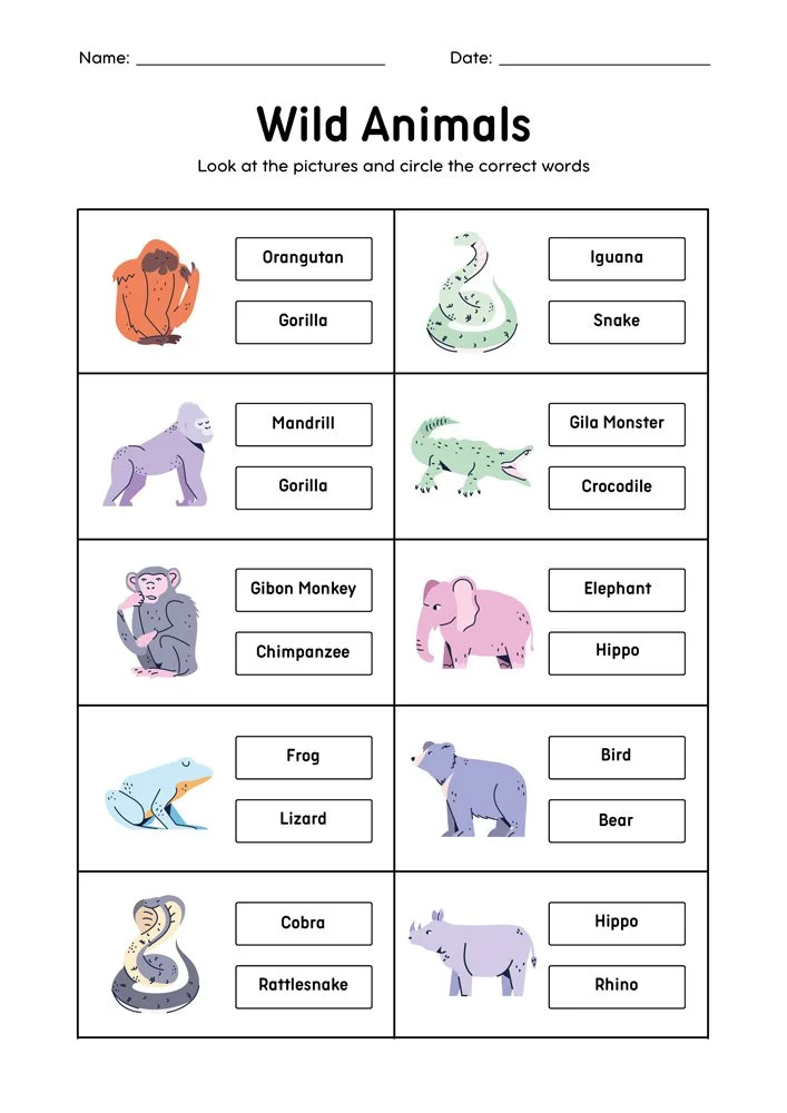 Kids Page — Thornbury Veterinary Hospital