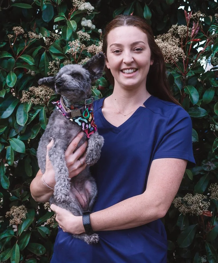 Vets — Thornbury Veterinary Hospital