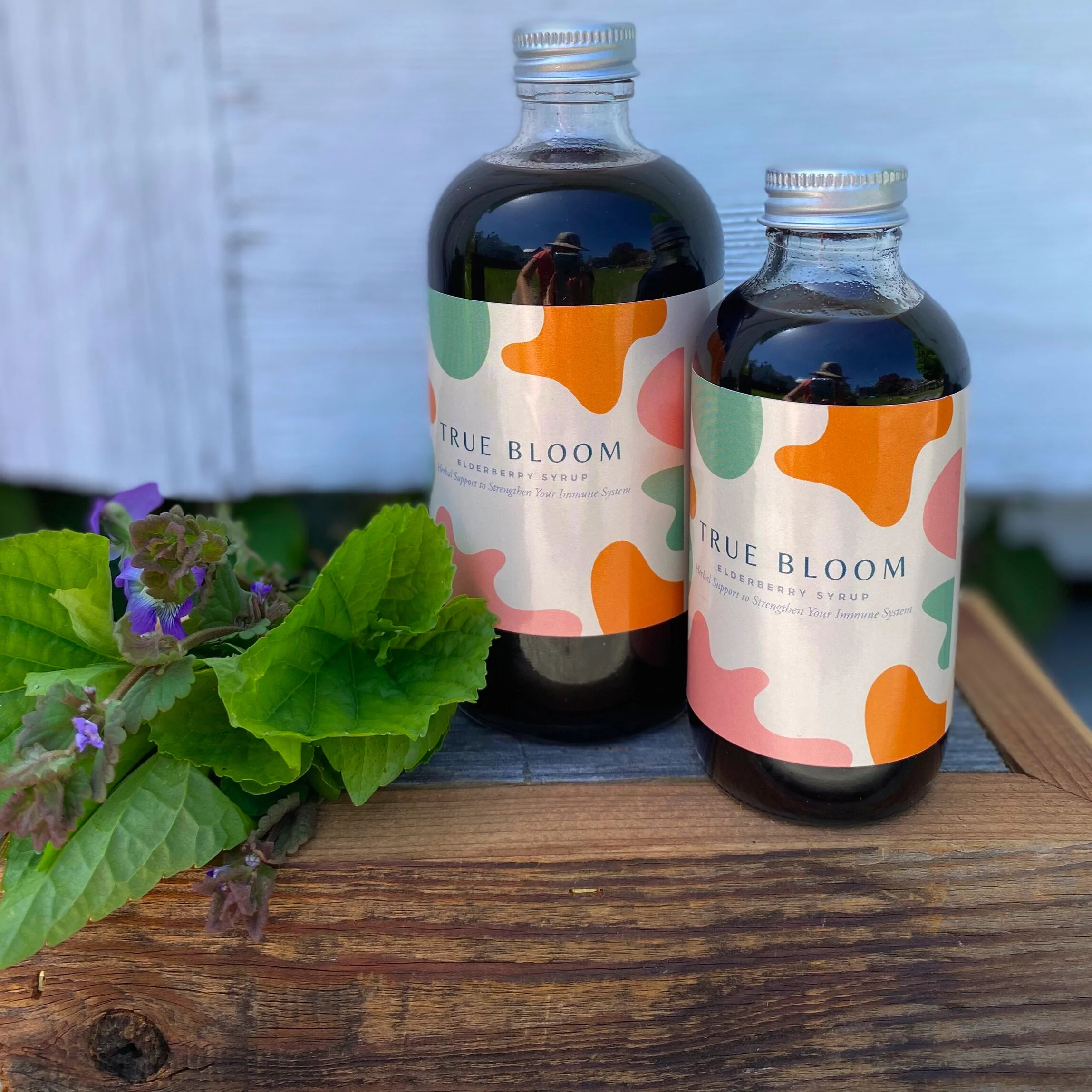 True Bloom — Flower & Frequency