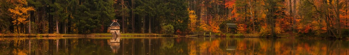 Galleries — Craig Thomson Photography