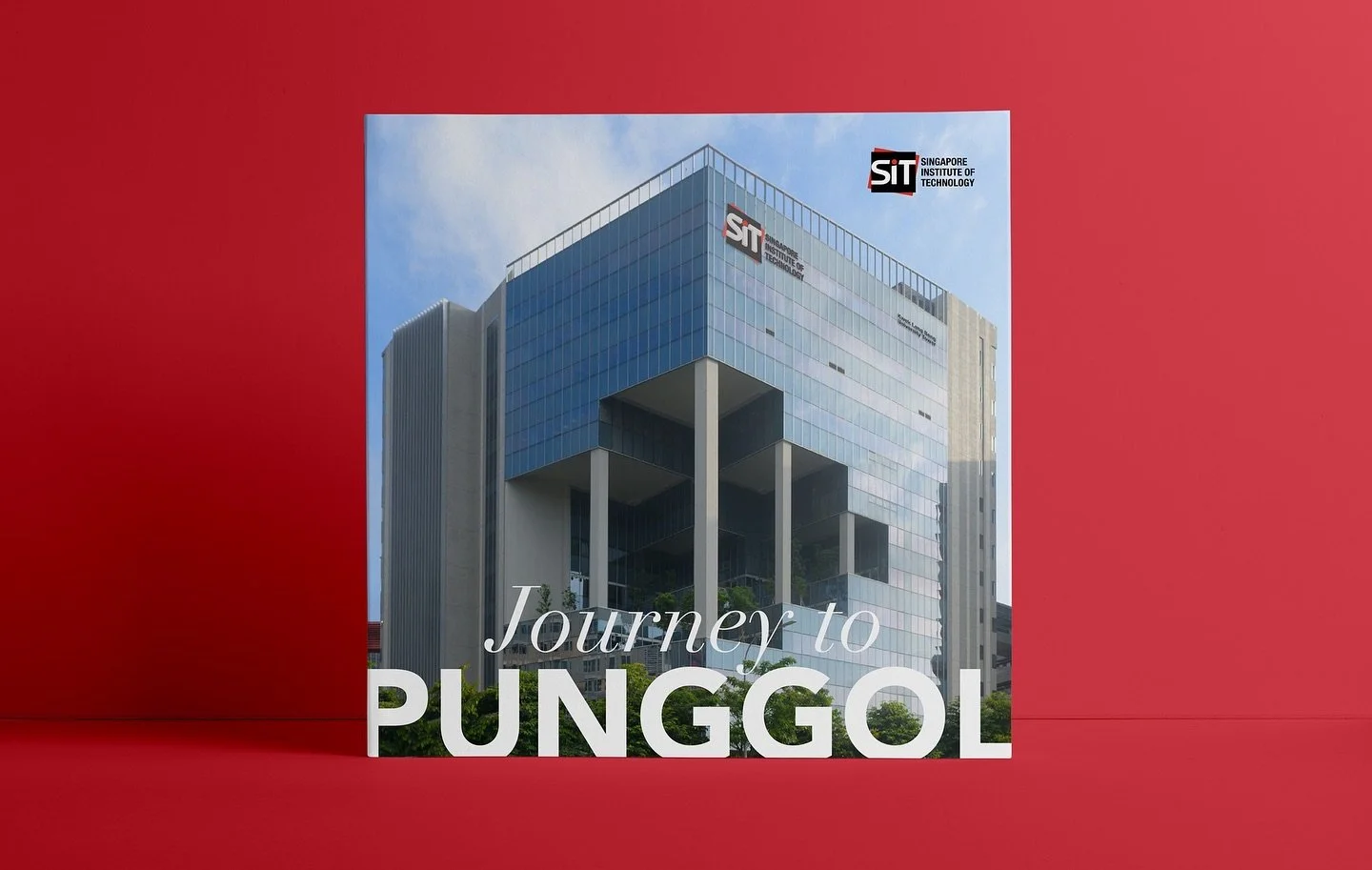 The art of brand elevation | Studio Giraffe