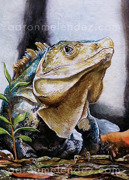 Aaron Melendez - Artist/Illustrator