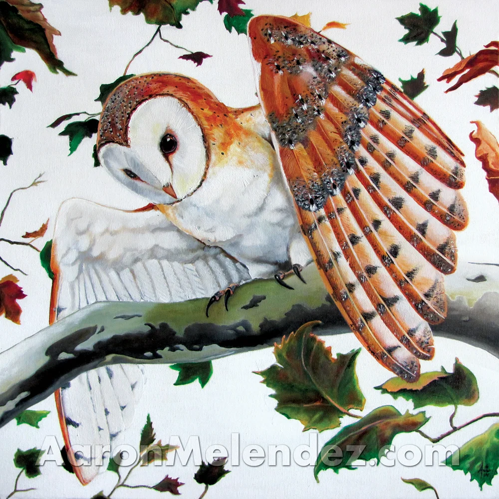 Aaron Melendez - Artist/Illustrator