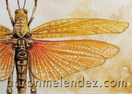 Aaron Melendez - Artist/Illustrator