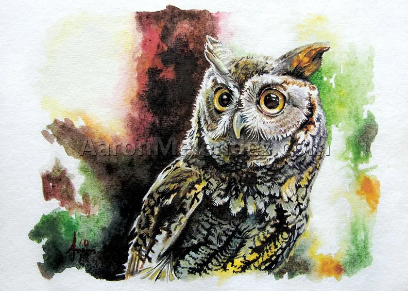 Aaron Melendez - Artist/Illustrator