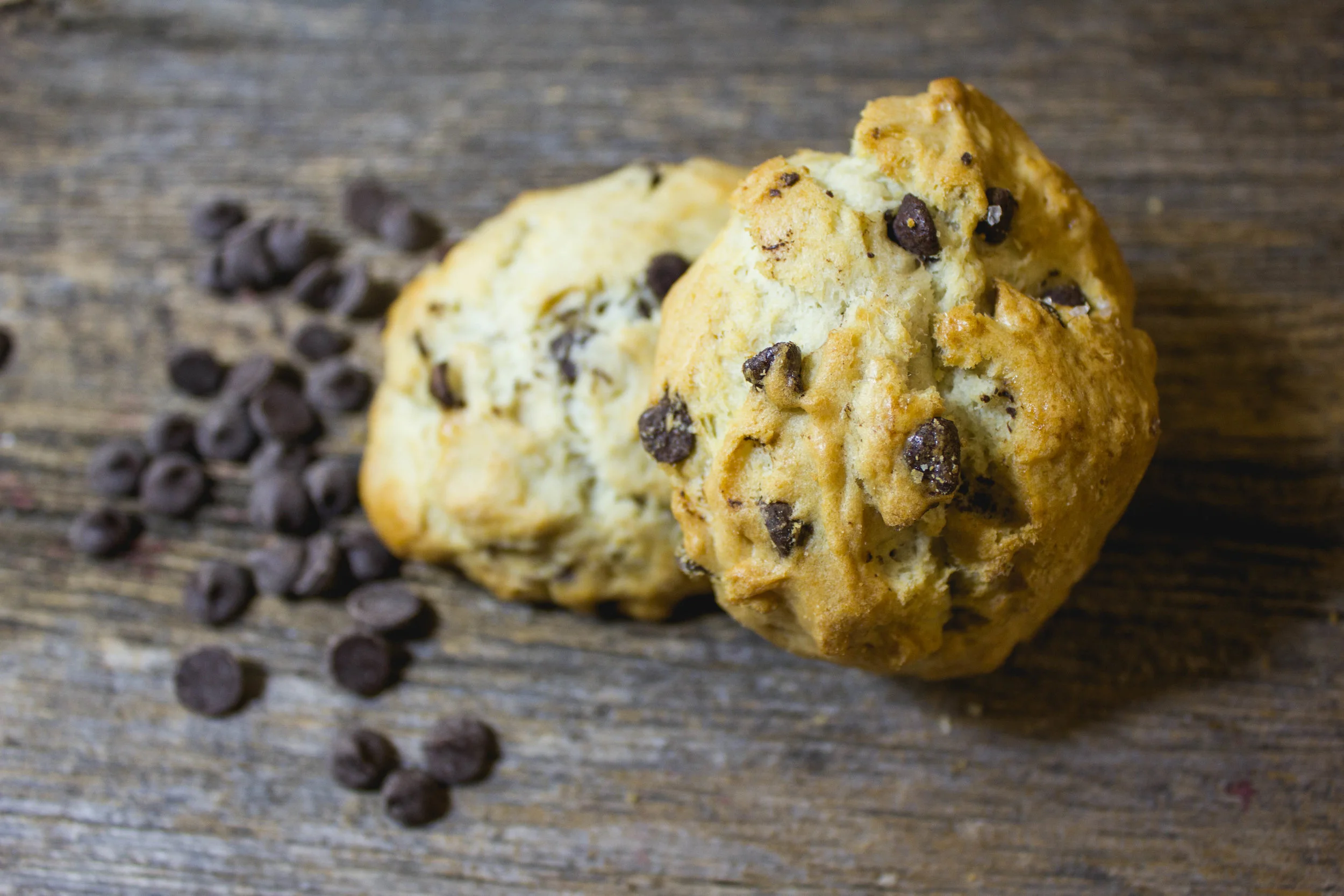 Rich Chocolate Chip Scone — Authentic Gourmet BakeShop