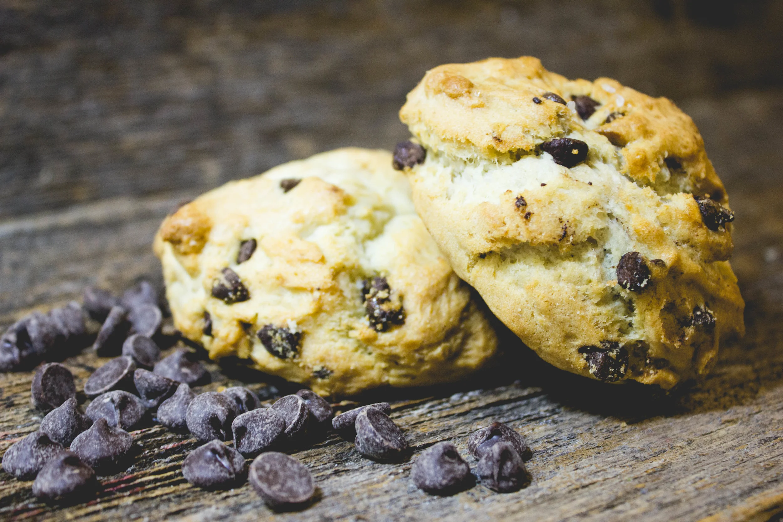 Rich Chocolate Chip Scone — Authentic Gourmet BakeShop