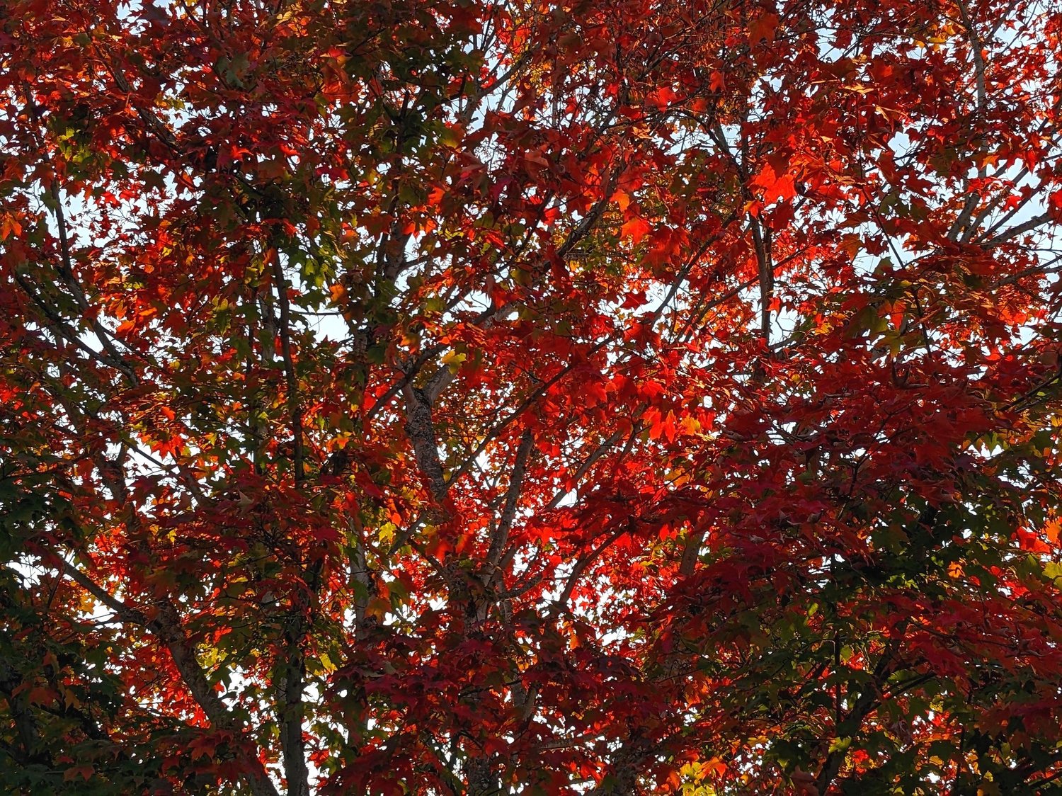 The Seven Levels of Intimacy — Foundations