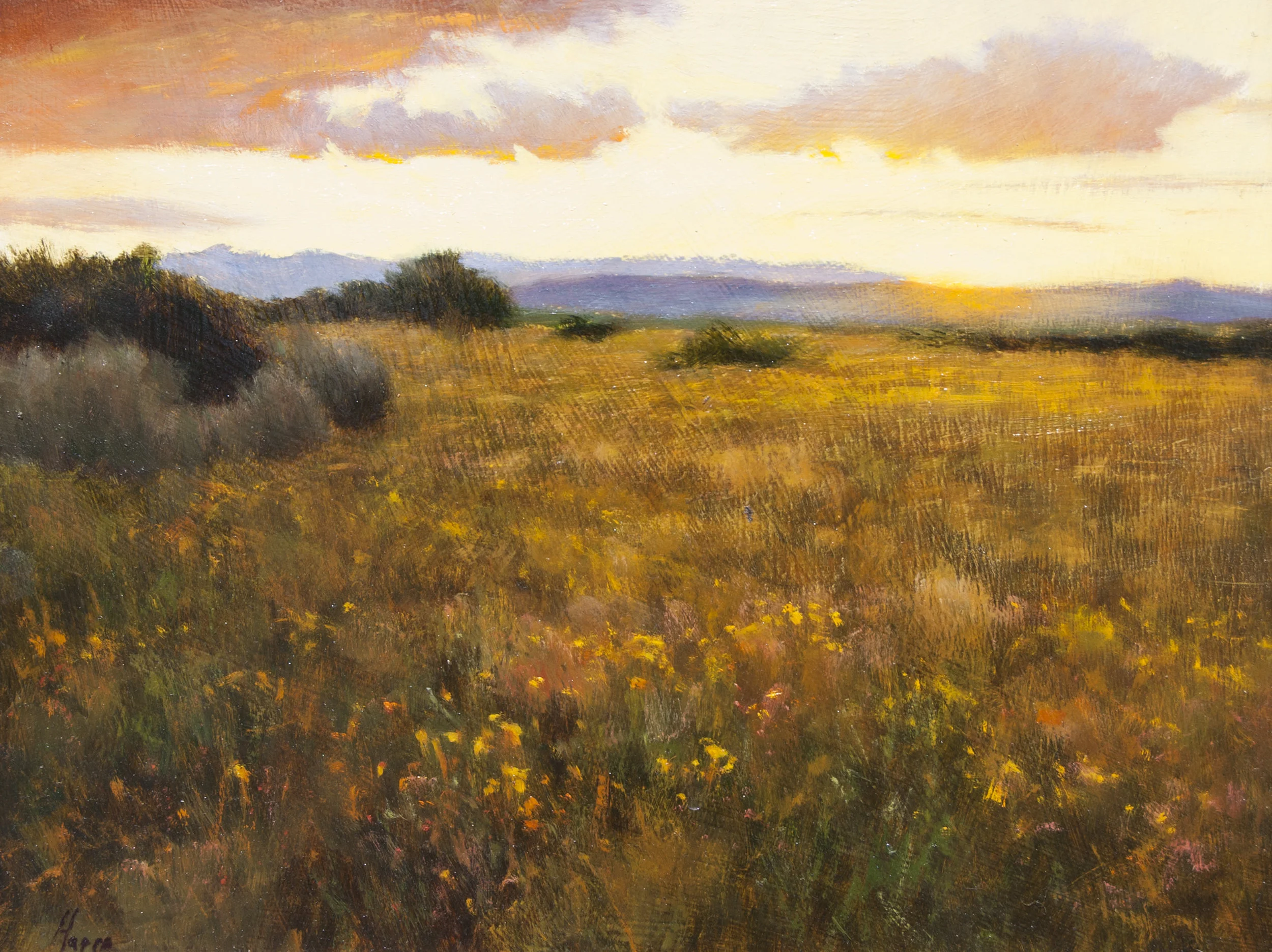 Work — Peter Hagen