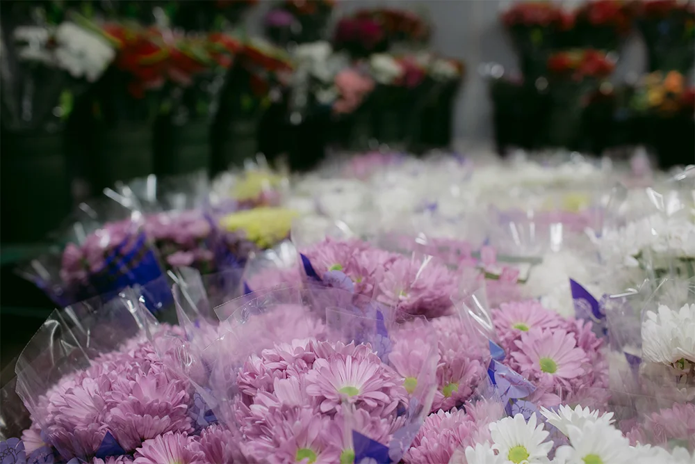 Gallery — Oklahoma Flower Market