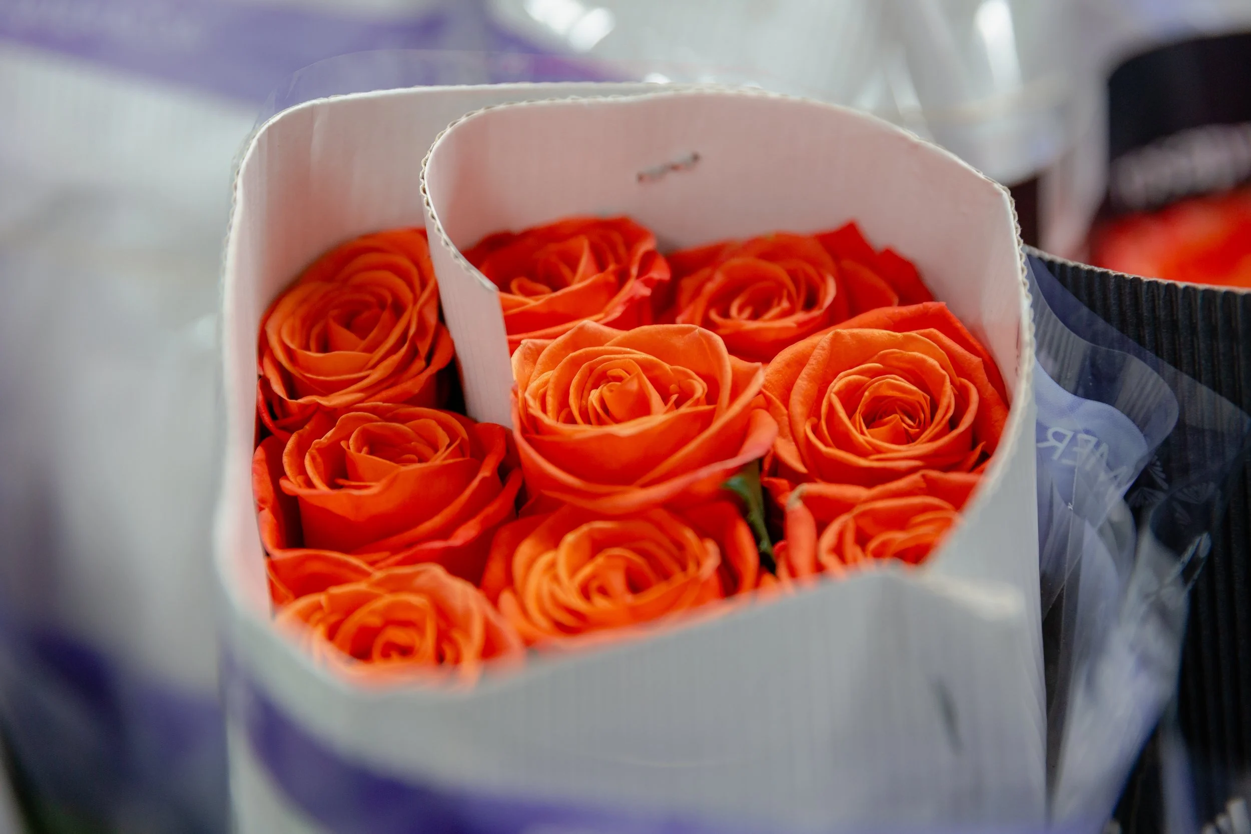 Gallery — Oklahoma Flower Market