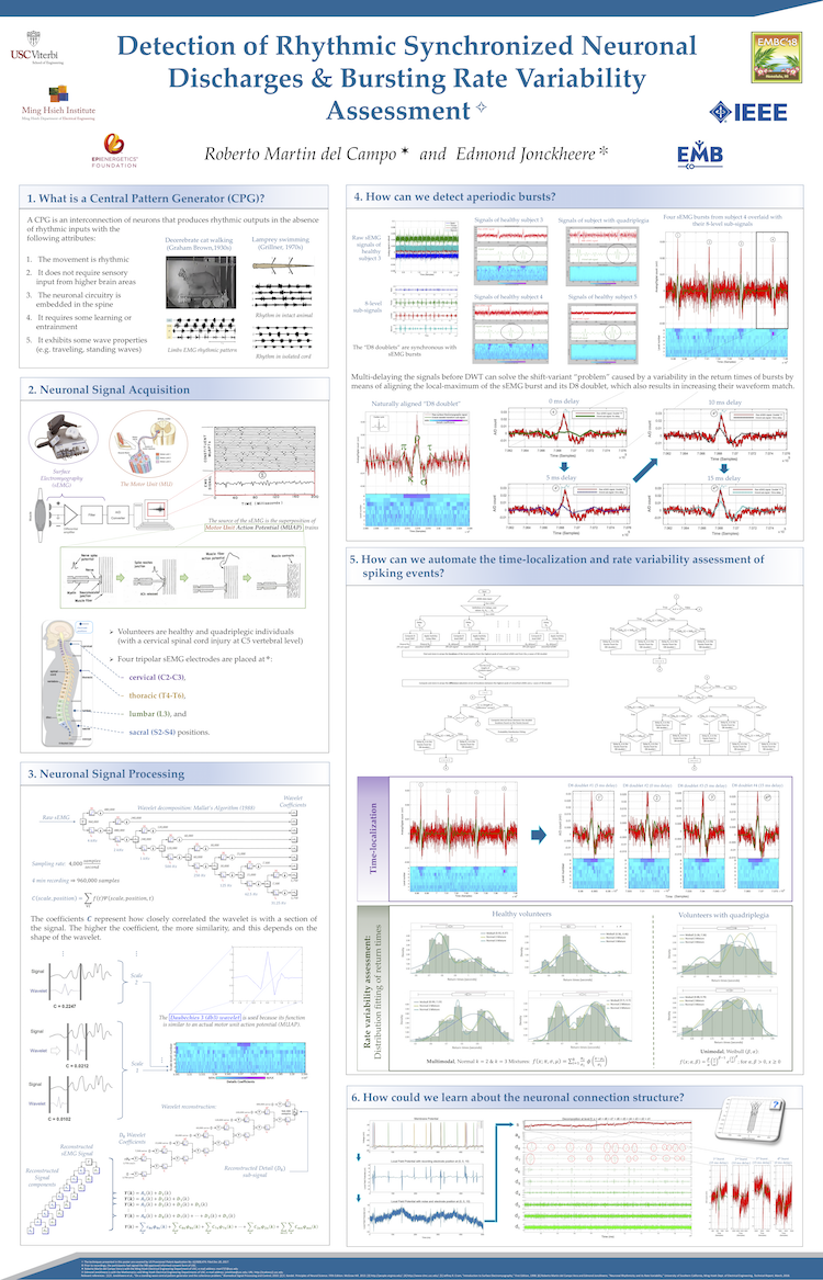 Detection of Rhythmic Synchronized Double Neuronal Discharges ...