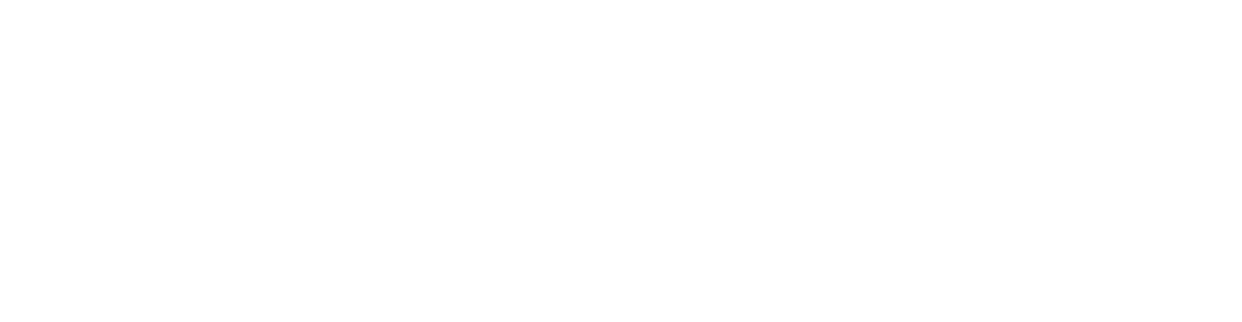 Customer Service Solutions - Customer HD