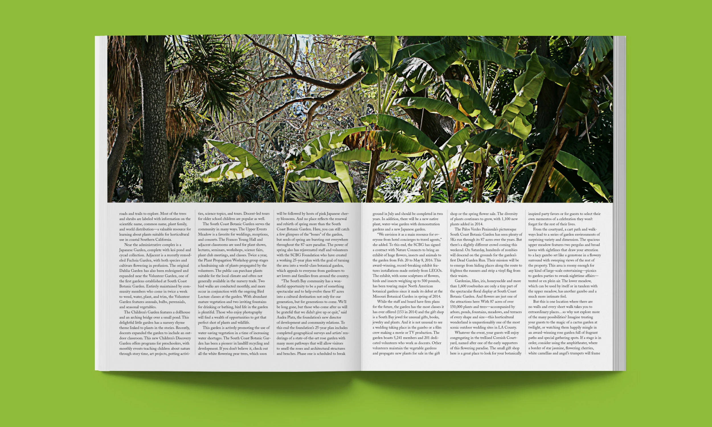 Nature Magazine Spreads