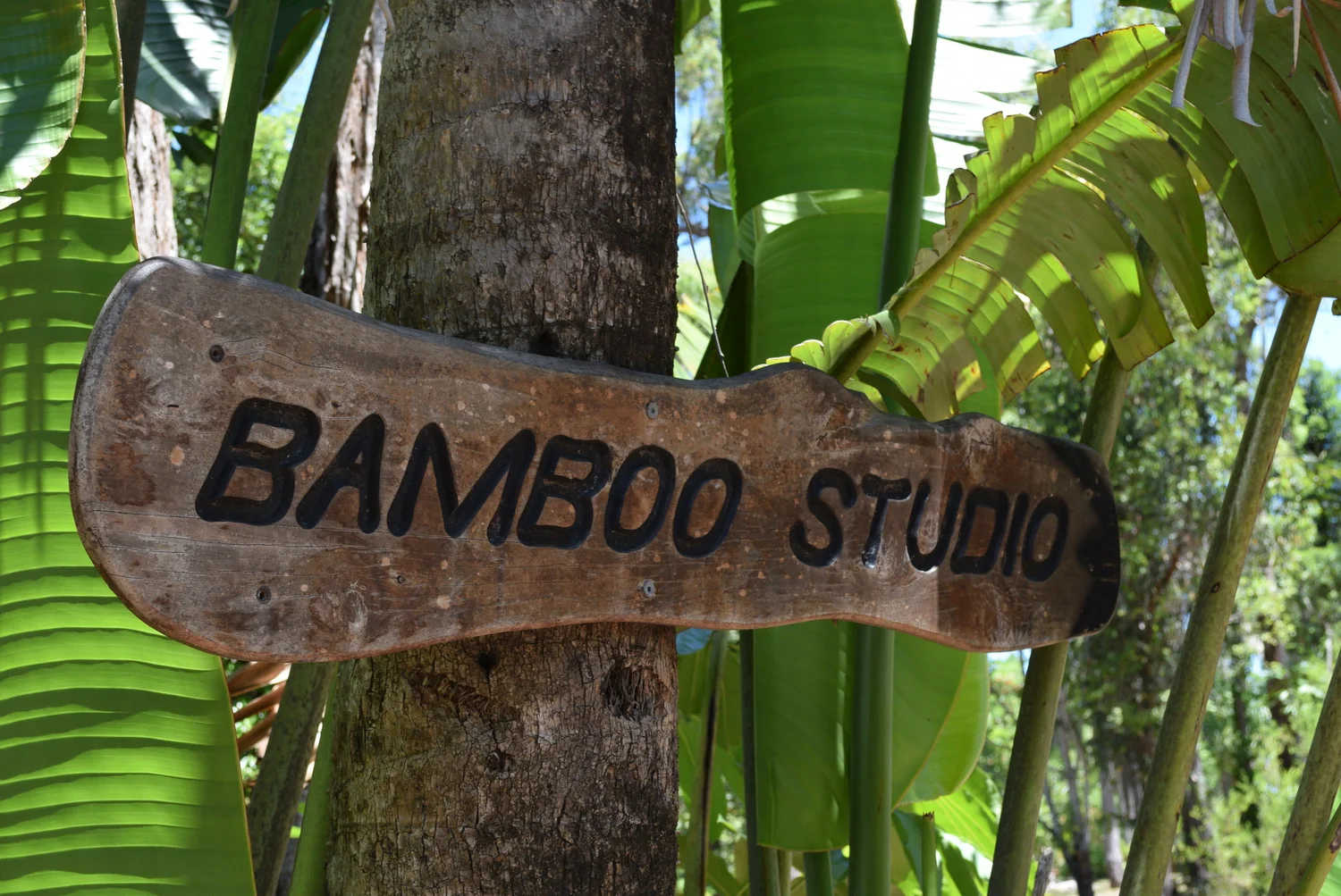 Bamboo Studio — Getaways at Byfield