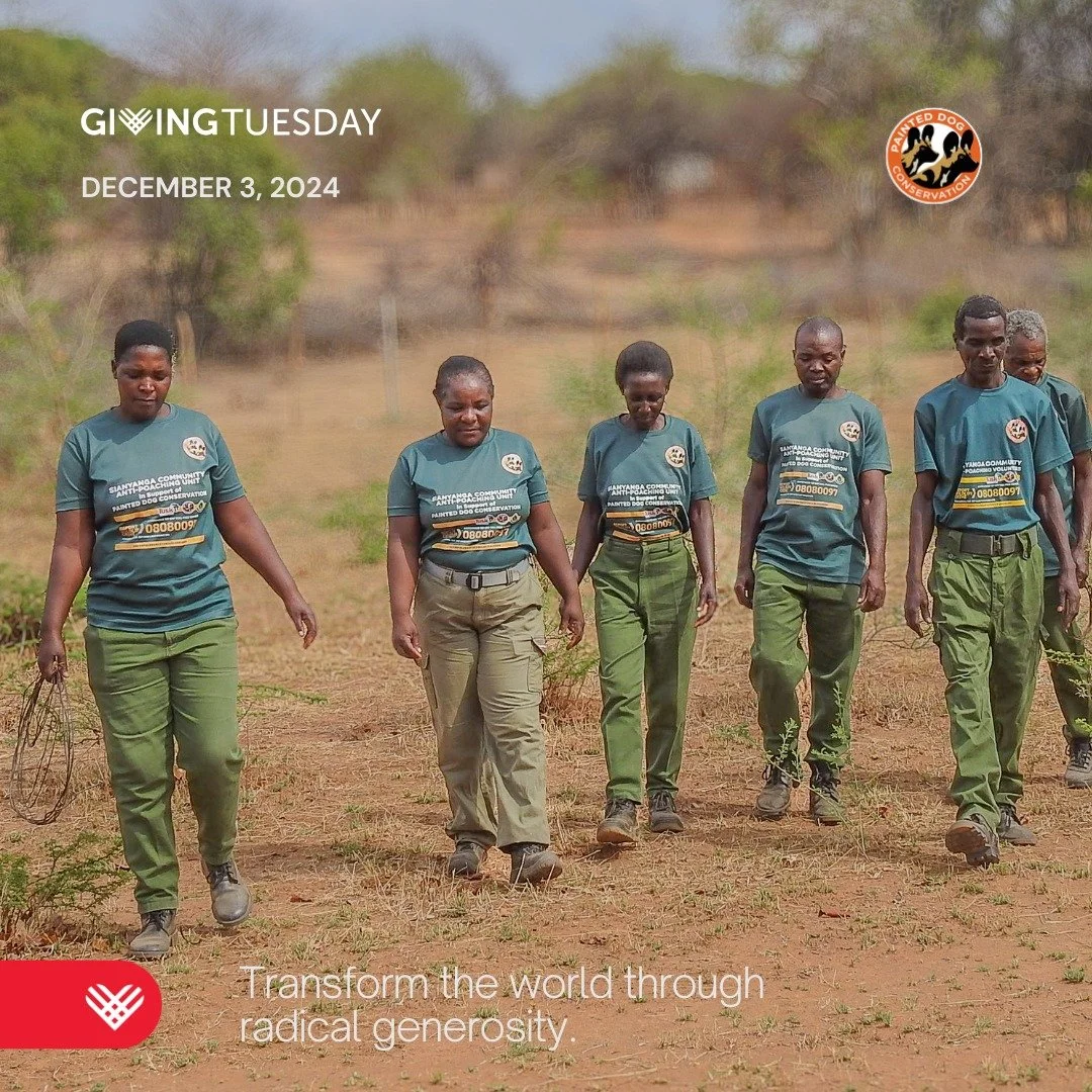 Painted Dog Conservation