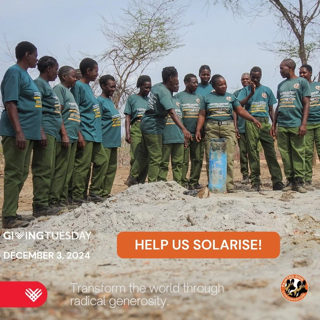 Painted Dog Conservation