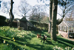 Notes from a Nervous Nation — Emma Mowat