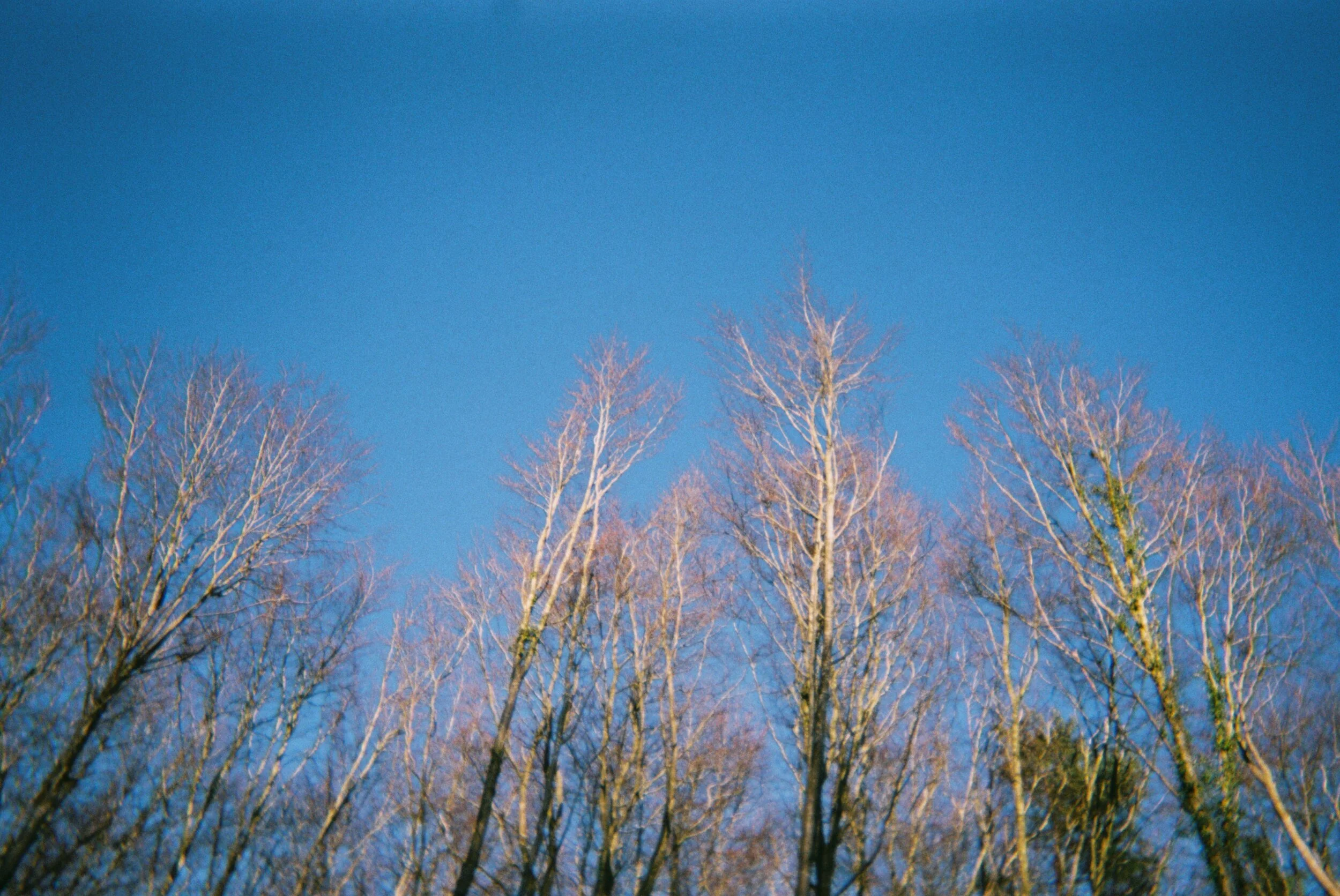 Notes from a Nervous Nation — Emma Mowat