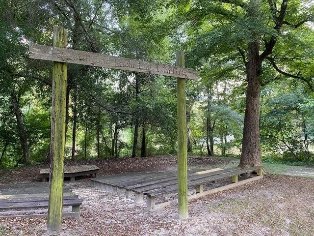 Sarah Dabney Gillespie: A Different Comfort — Fondren Presbyterian Church