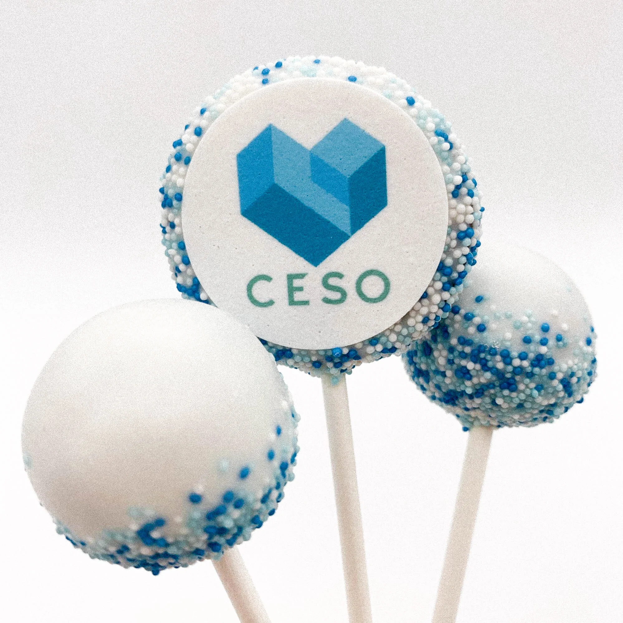 Logo Pops (Custom) — Daisy Pops