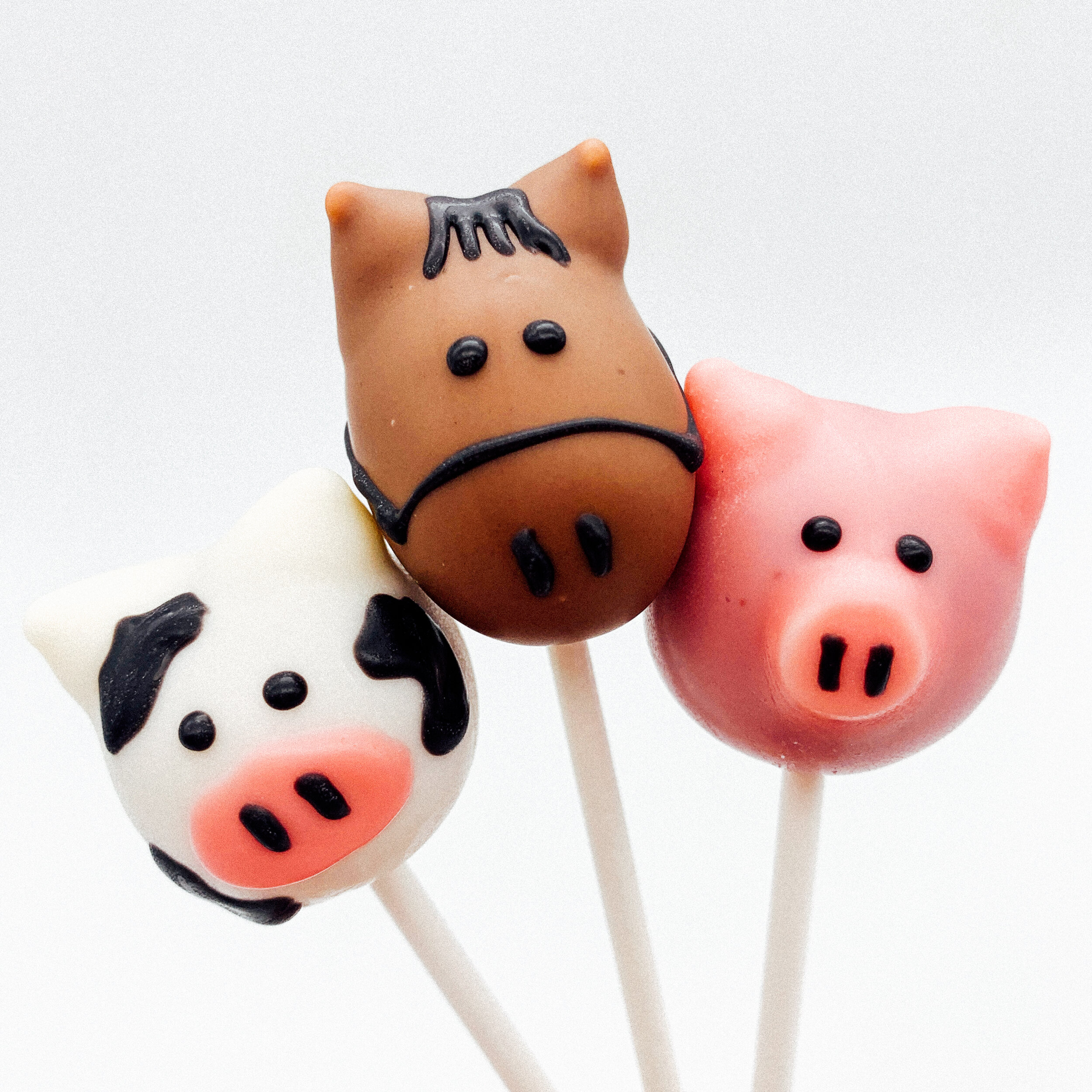 Animal Pops (Custom) — Daisy Pops