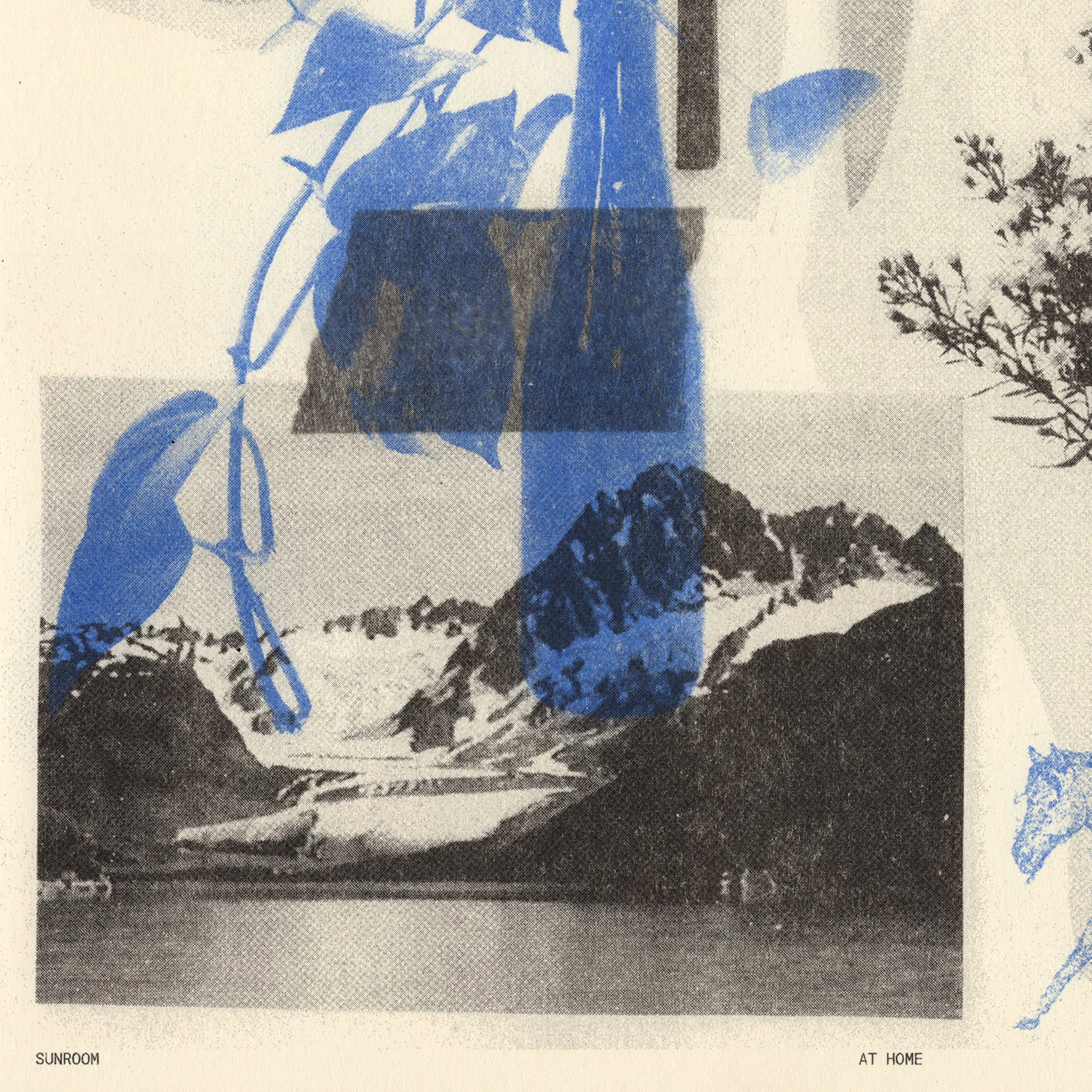 "At Home" Risograph Print — Sunroom