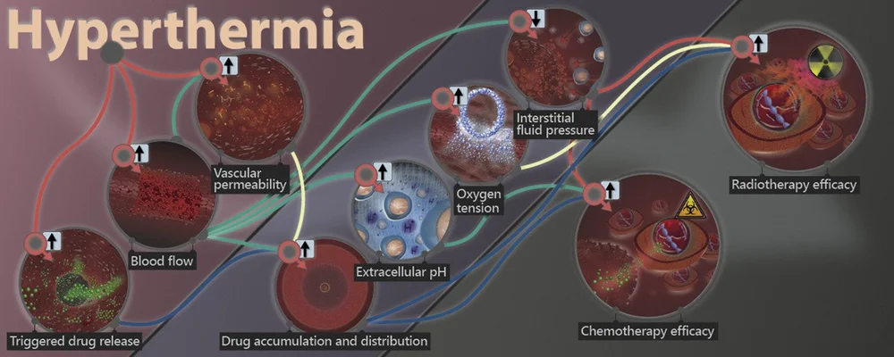 BTP - Hyperthermia — Center for Integrative Healing & Wellness
