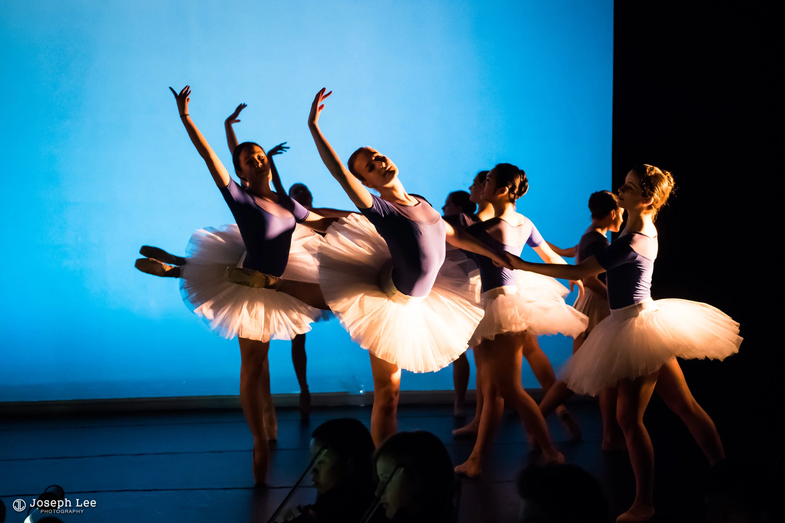 Alumni — Harvard Ballet Company