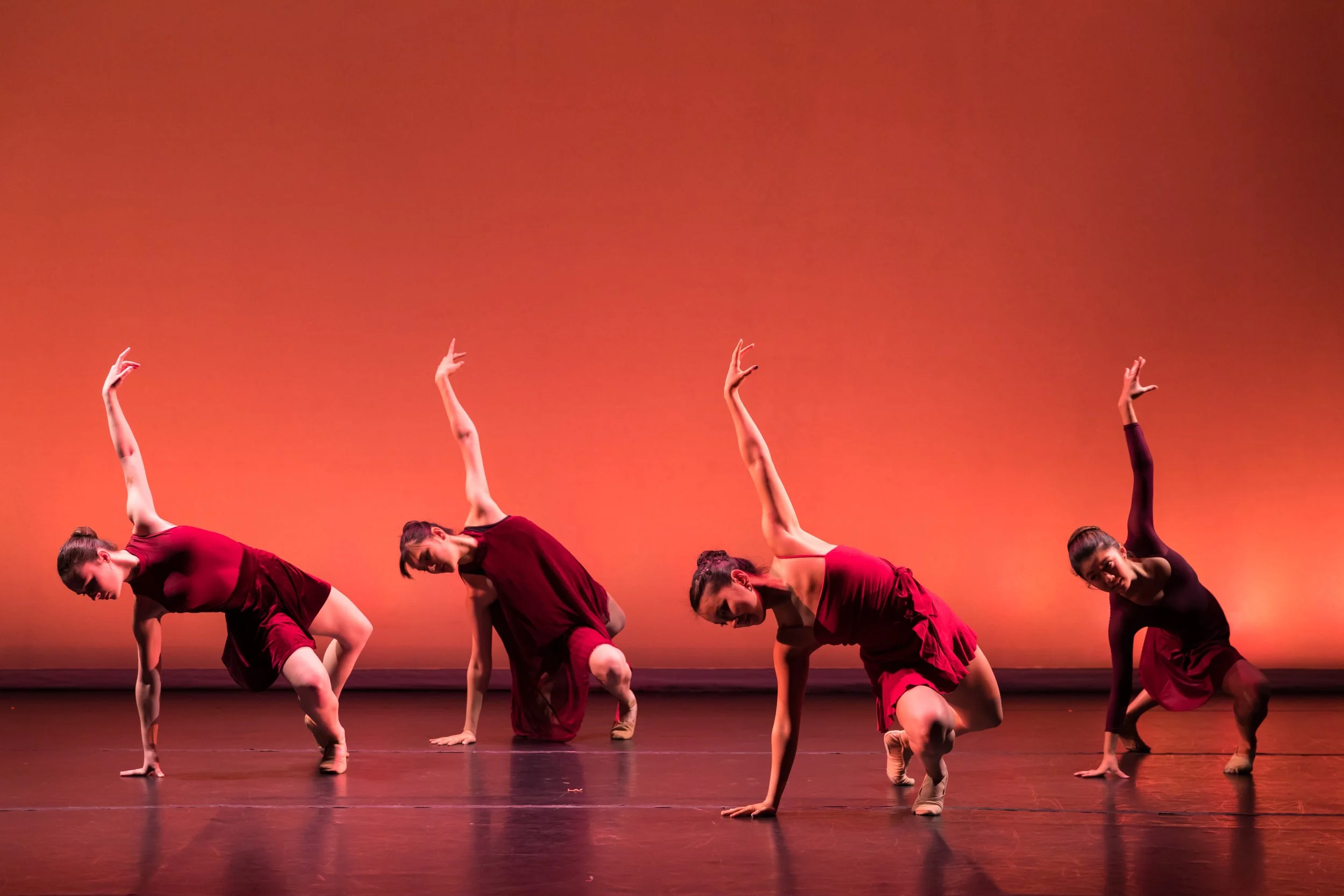 Support — Harvard Ballet Company