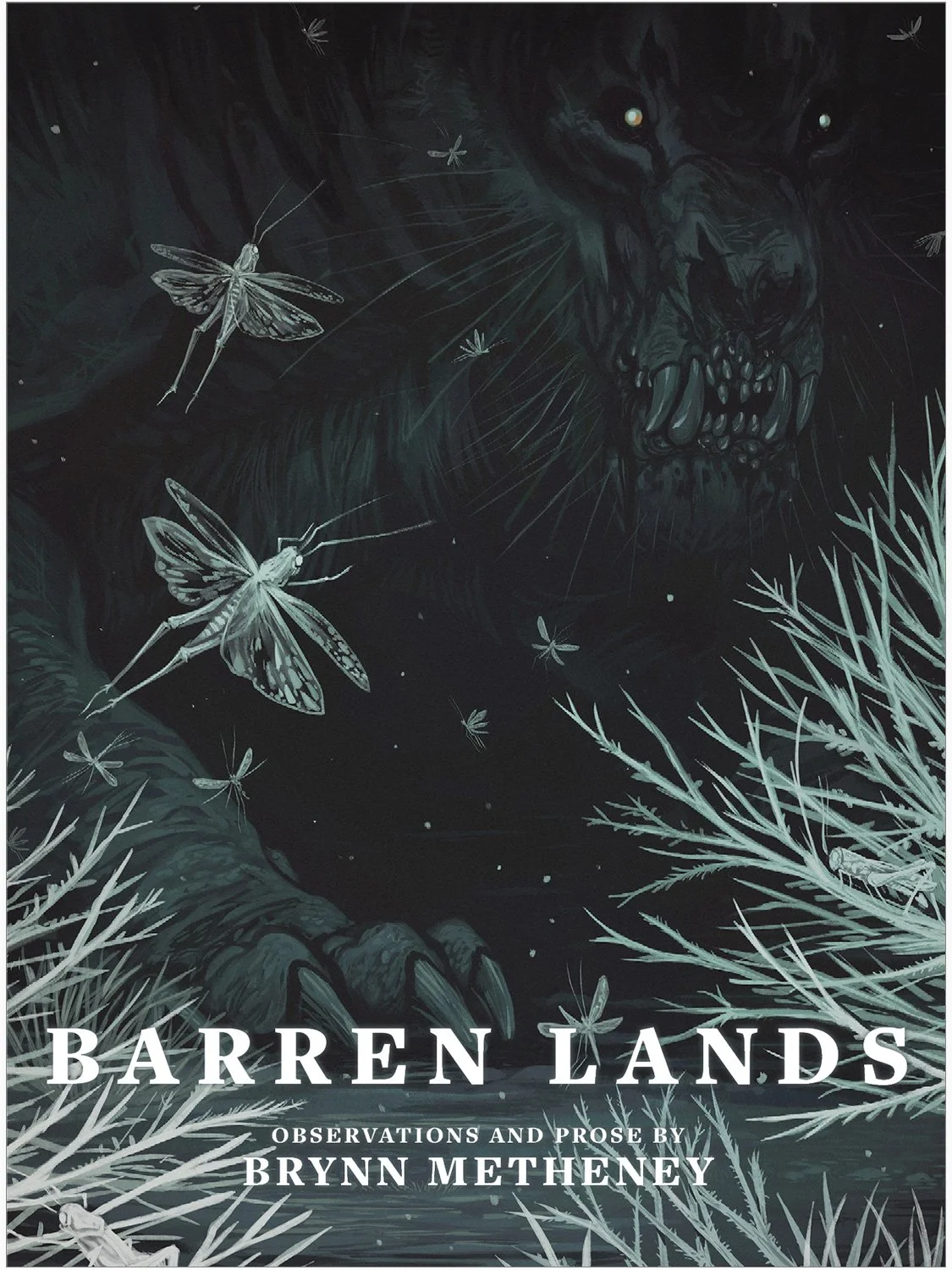 Barren Lands by Brynn Metheney — FLESK