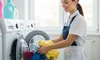 Gain Vs Tide (Which Is Better?) — Karen’s Green Cleaning