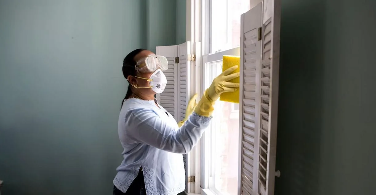 Cleaning Spider Poop On Window Sills (Quick Guide) — Karen’s Green Cleaning