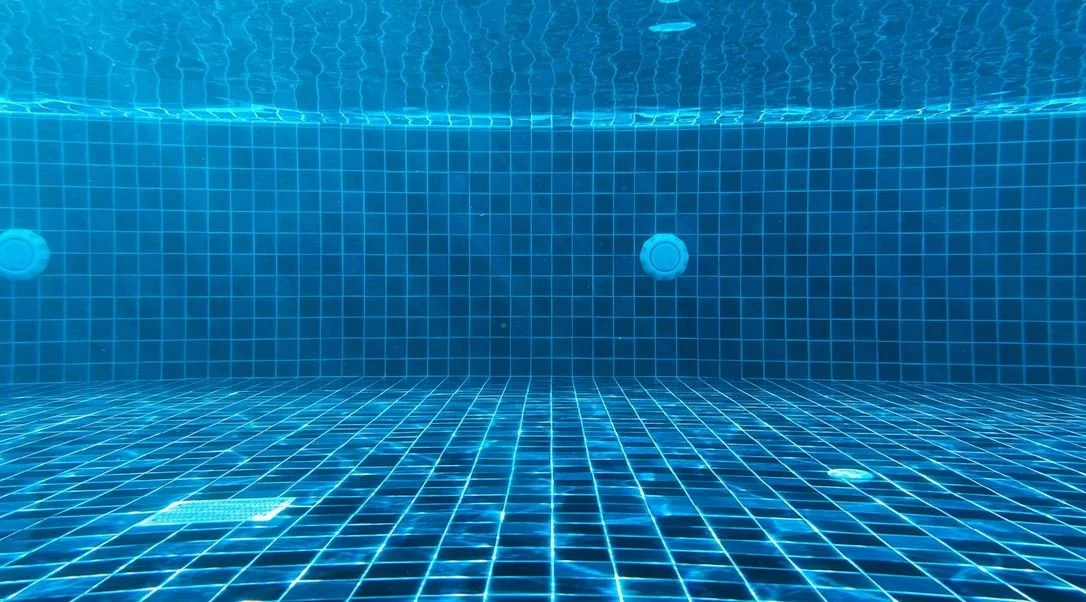 Algae In Pool Filter (Easy Cleaning Guide) — Karen’s Green Cleaning