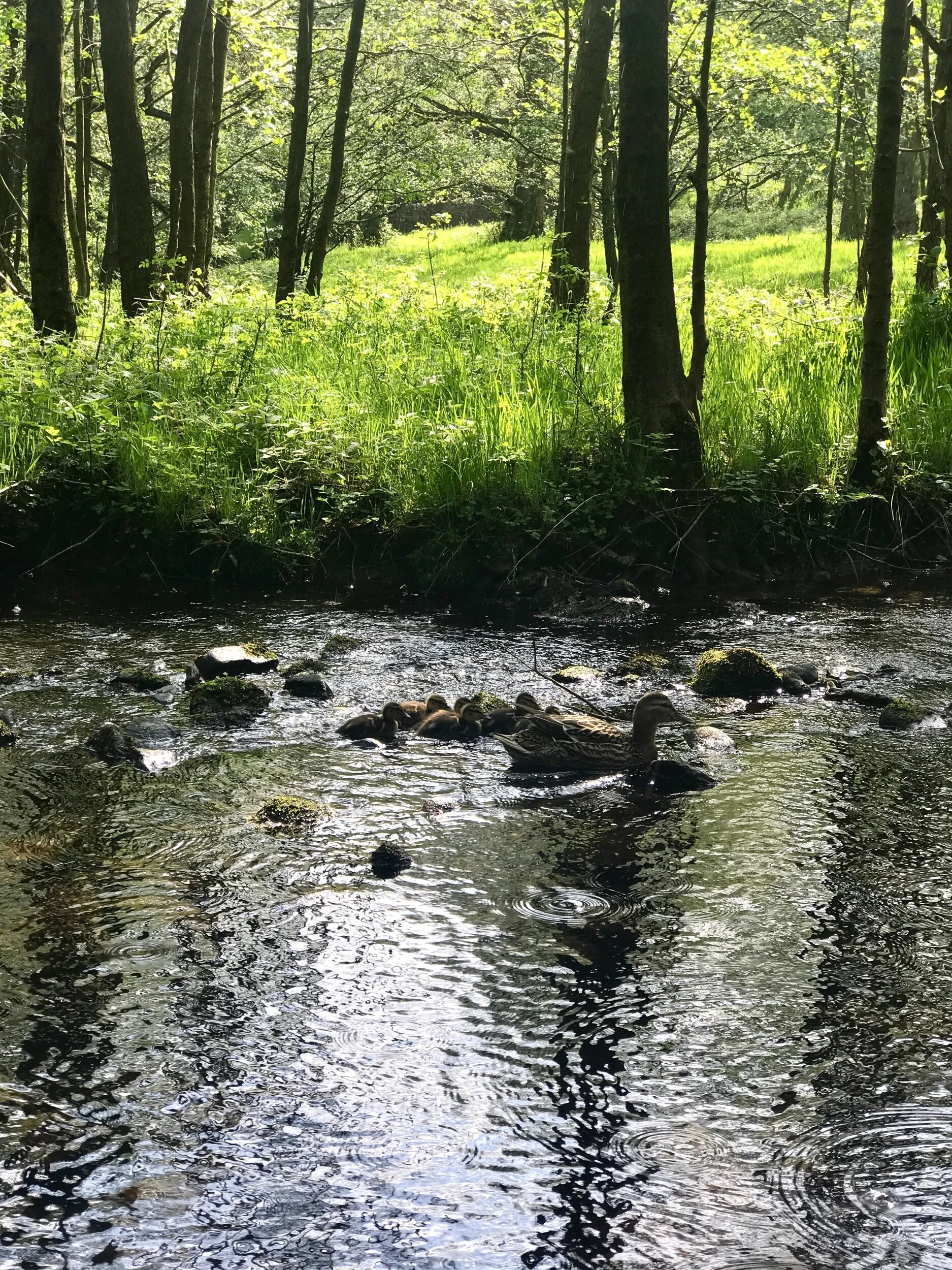 Booth Farm Smallholding — Peak Boutique Properties