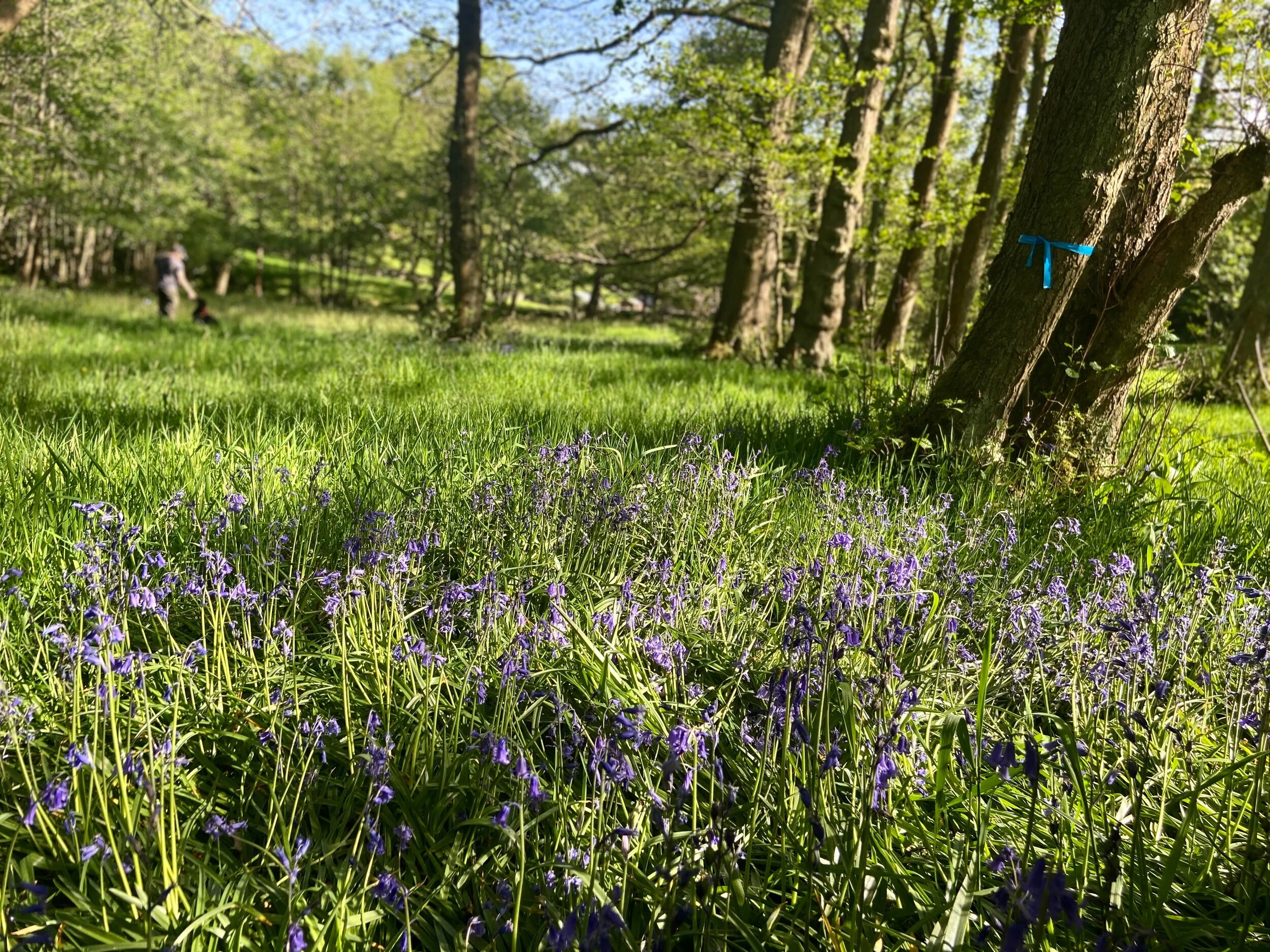 Booth Farm Smallholding — Peak Boutique Properties